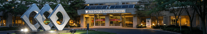 Leading the Way in Person-Centered Care Services | Planetree