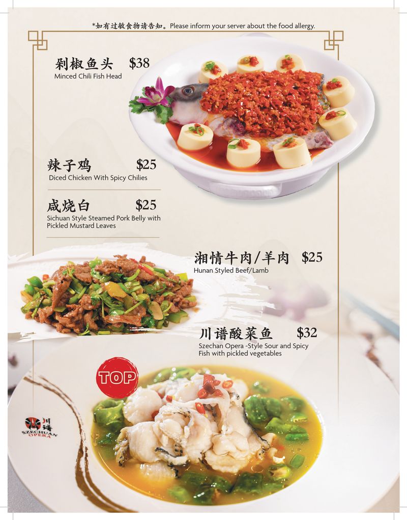 Szechuan Opera (Flushing) Menu