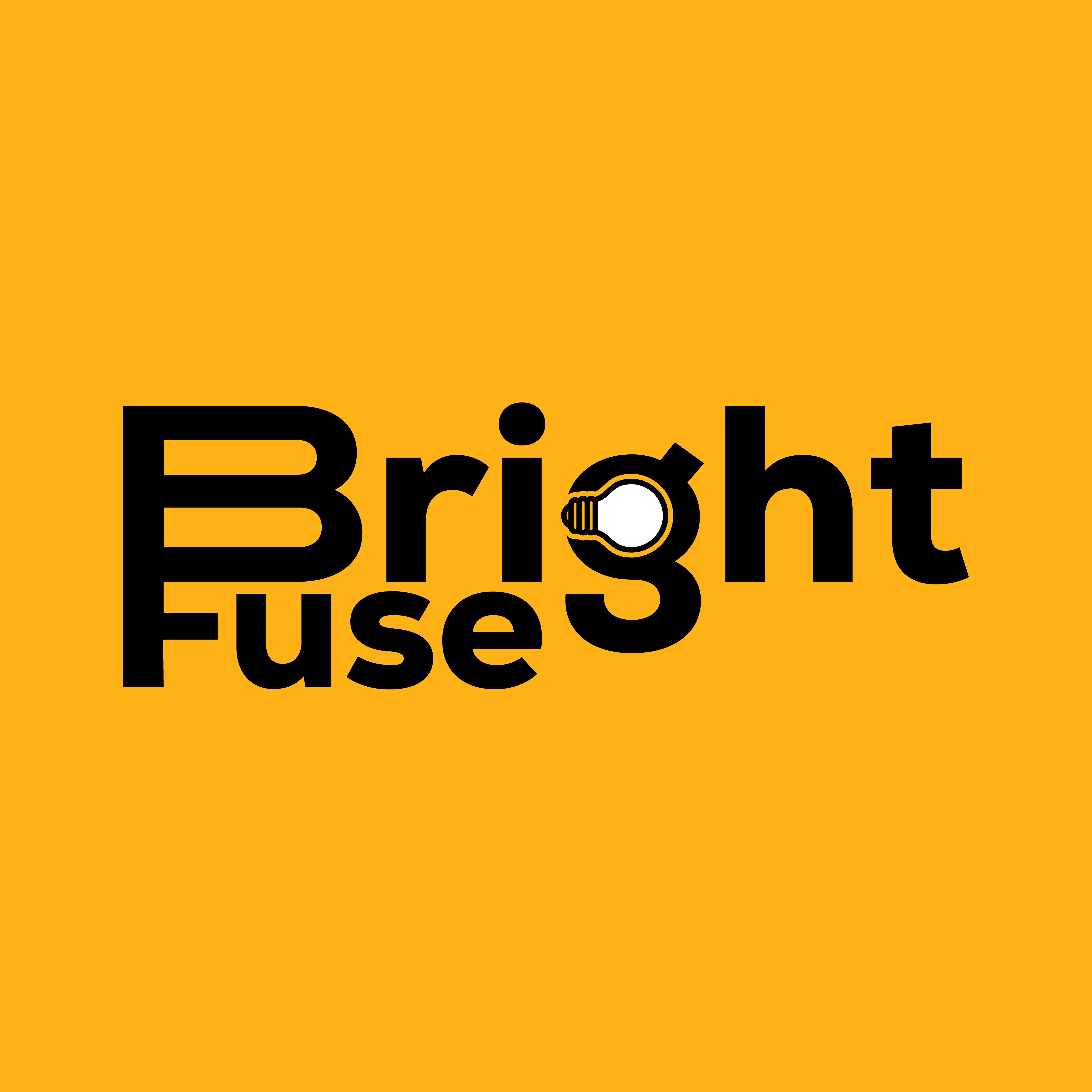 Project - Bright Fuse