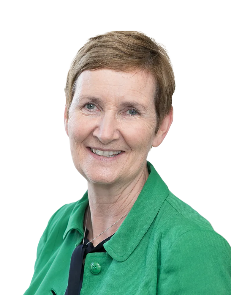 About - Aurora Foundation