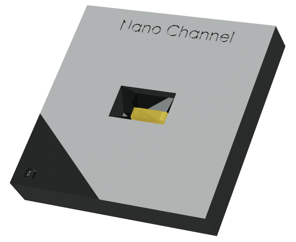 Insight Chips