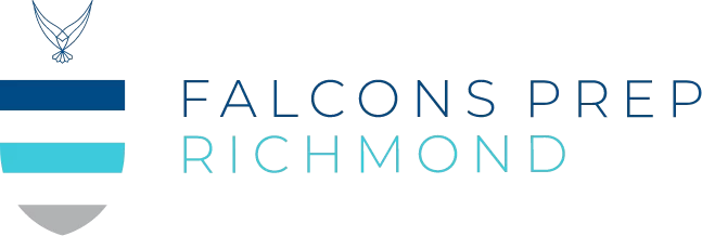 Arc Pathway | The Ultimate Child Development Tool