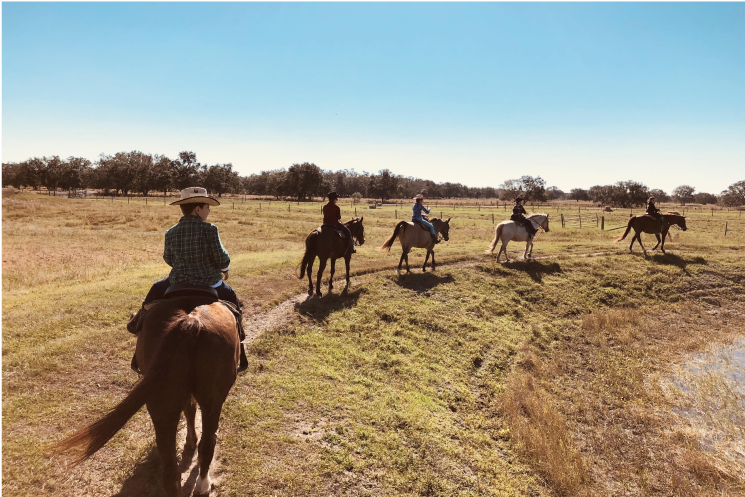 World of Westgate Mastercard®