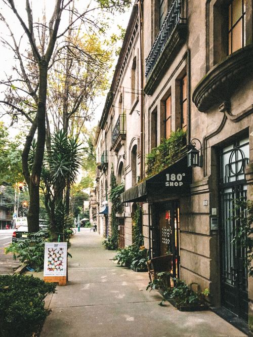 Gallery | Boutique Hotel in Mexico City | Colima 71