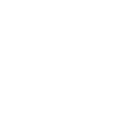 University of Washington Rugby