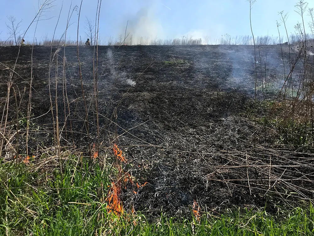 A Reintroduction of Fire on the Land | Urban Ecology Center