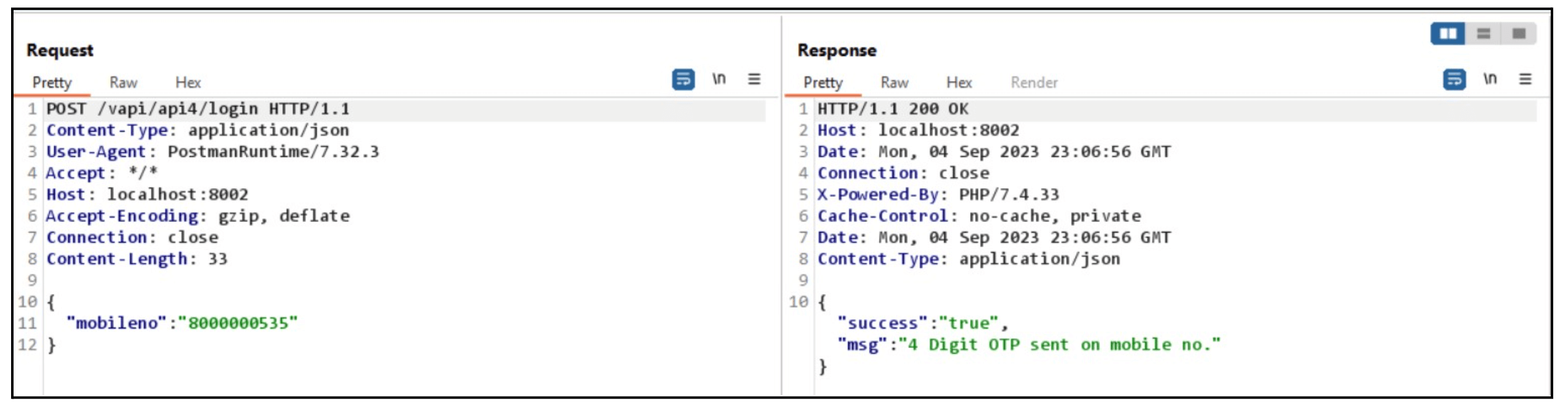 API Security Testing