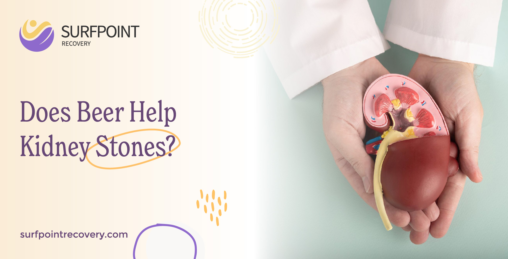 Does Beer Help Kidney Stones?