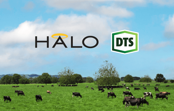 Press Release: Halo expands reach with acquisition of Vat-Man milk ...
