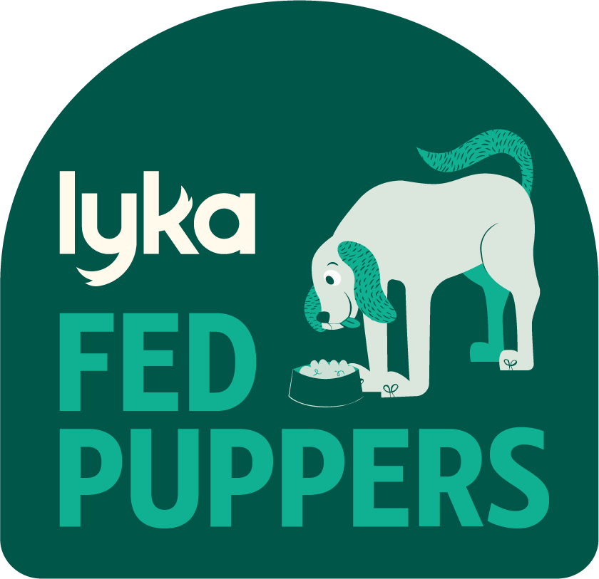 Oodle Life: Buy Cavoodle Puppies | Best Cavoodle Prices in NSW