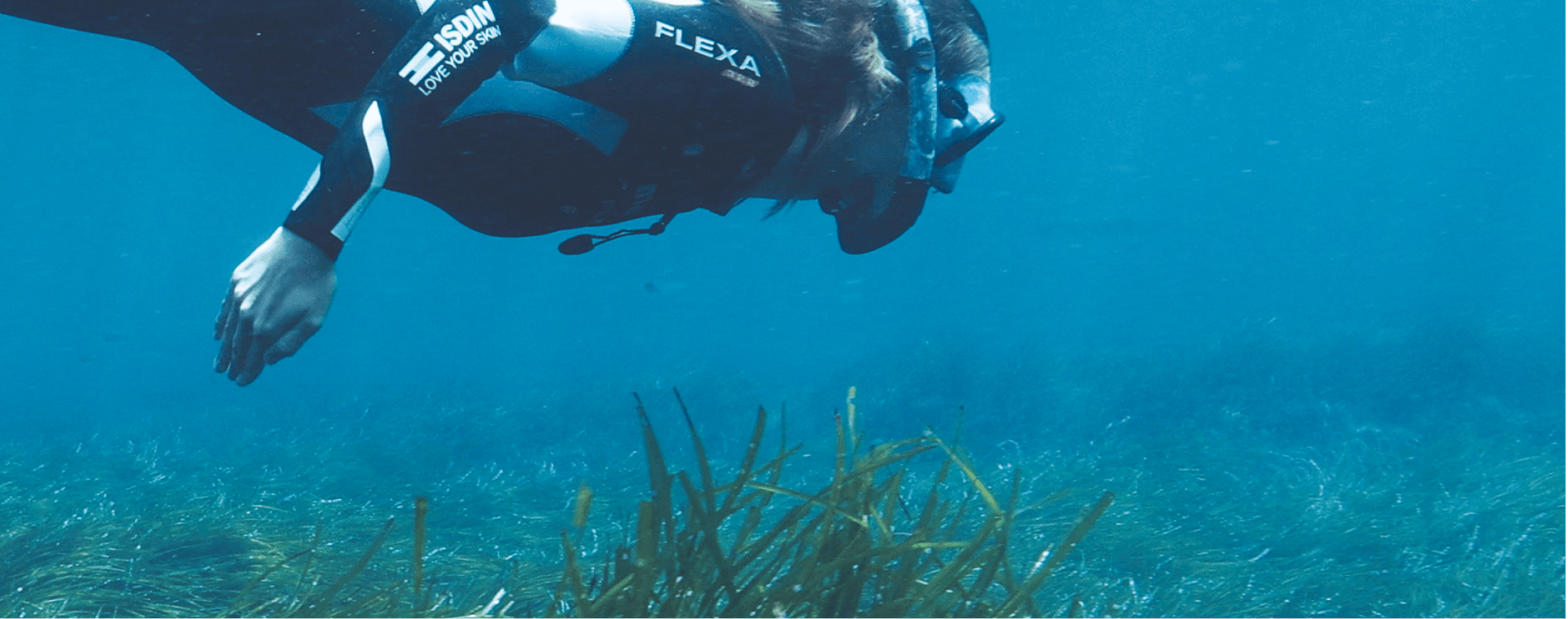 ¿Qué hace la Bluewave Alliance y por qué? Te lo contamos