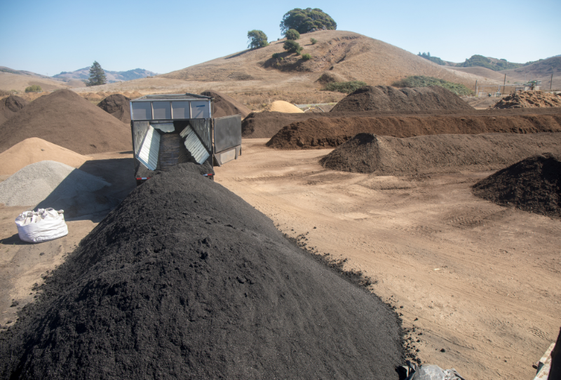 How Perseverance Turned a Biochar Pioneer Into an Industry Leader
