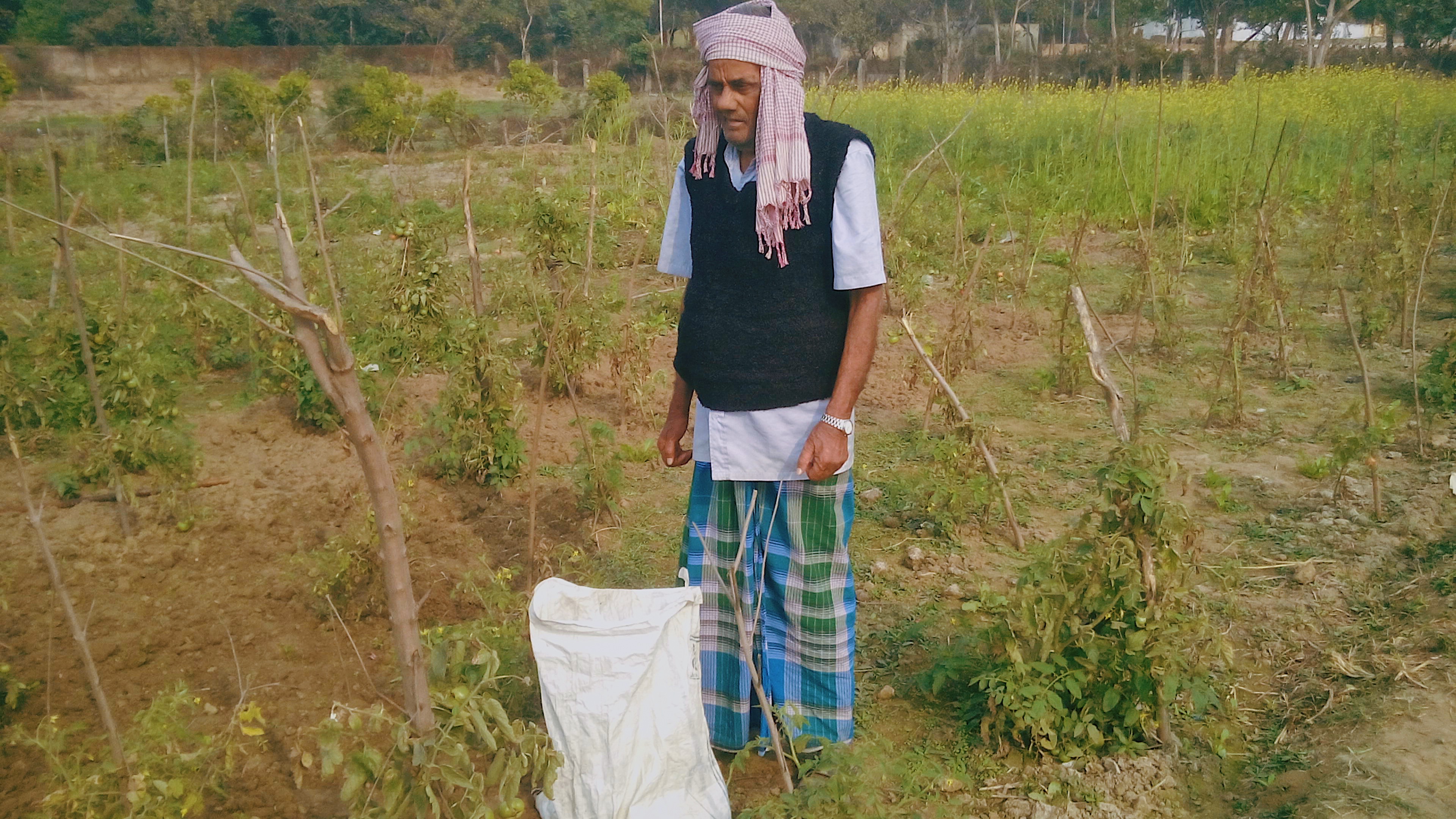 Klarna and Milkywire Choose Carbonfuture’s Carbon Removal Credits as ...