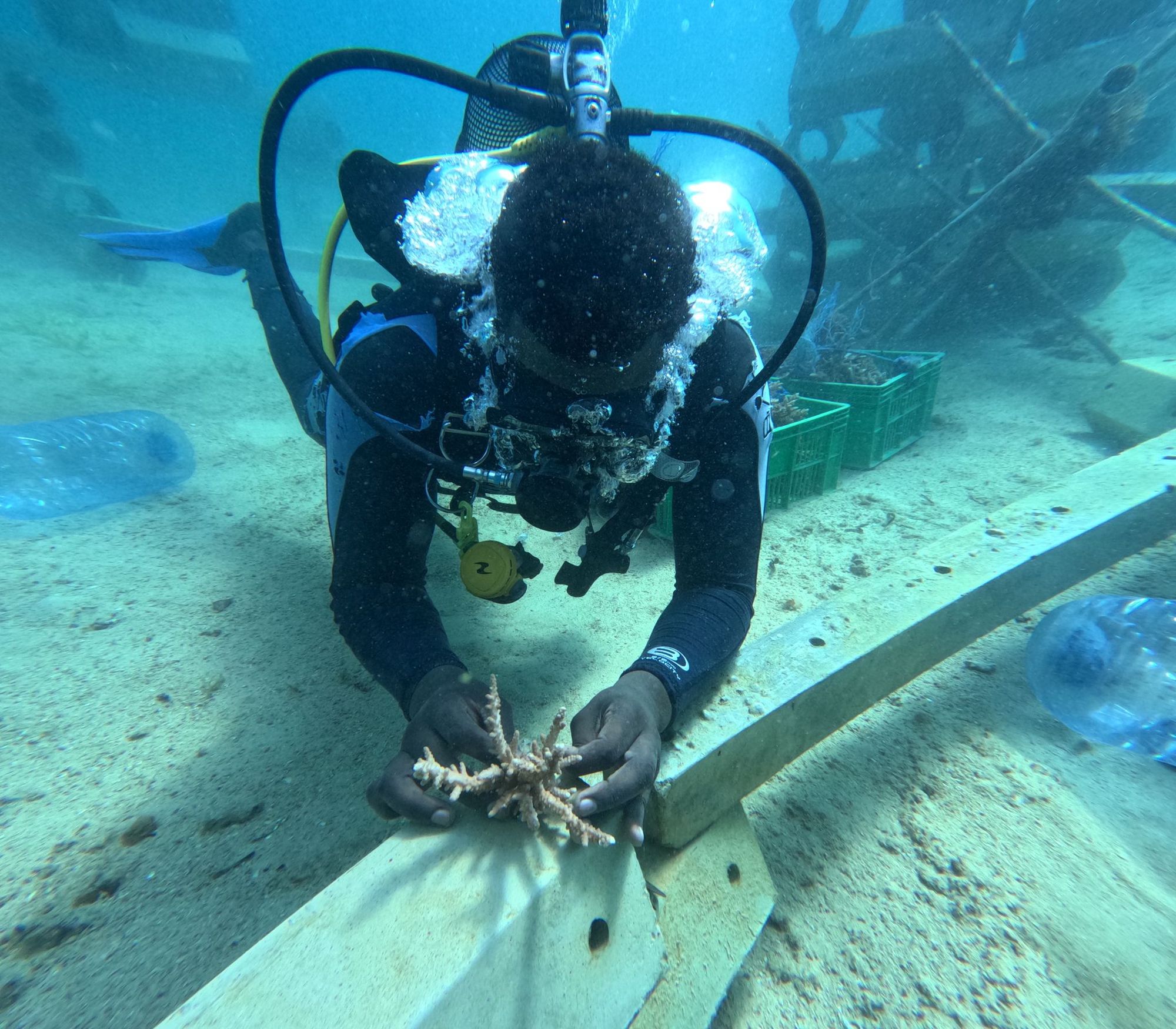 Give to Nature, See the Results | Sumthing