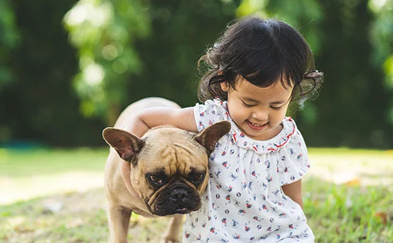 Resting Rainbow | Home