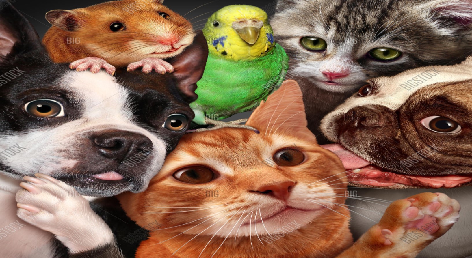 Resting Rainbow | Blog