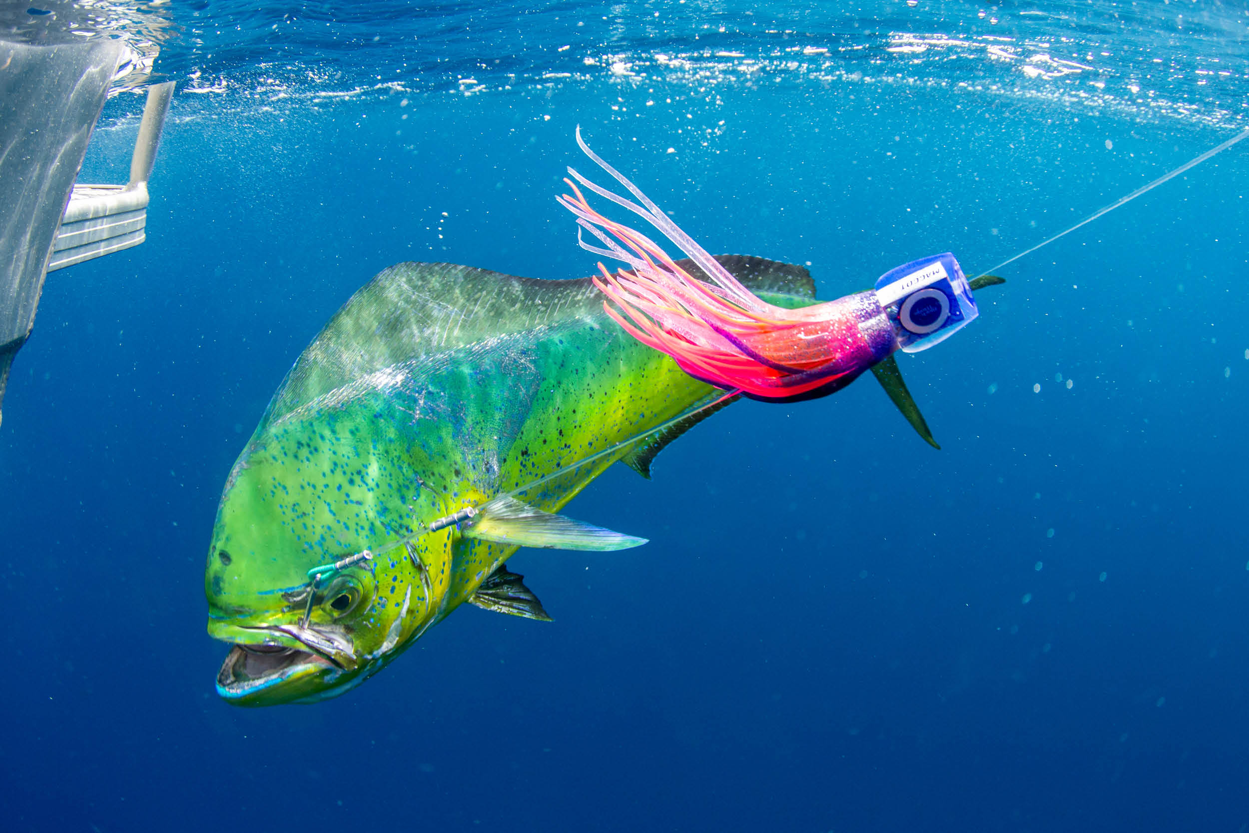 Black Magic Tackle - Black Magic and Wasabi fishing tackle