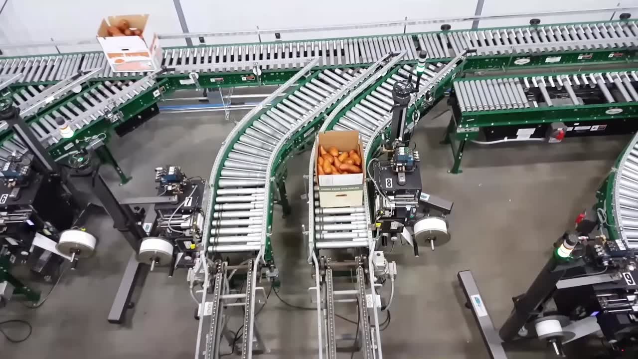 Equipment Systems Corporation | Case Conveyor