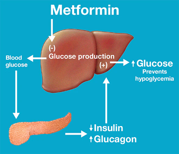 Metformin and Infertility - Oana - Posts