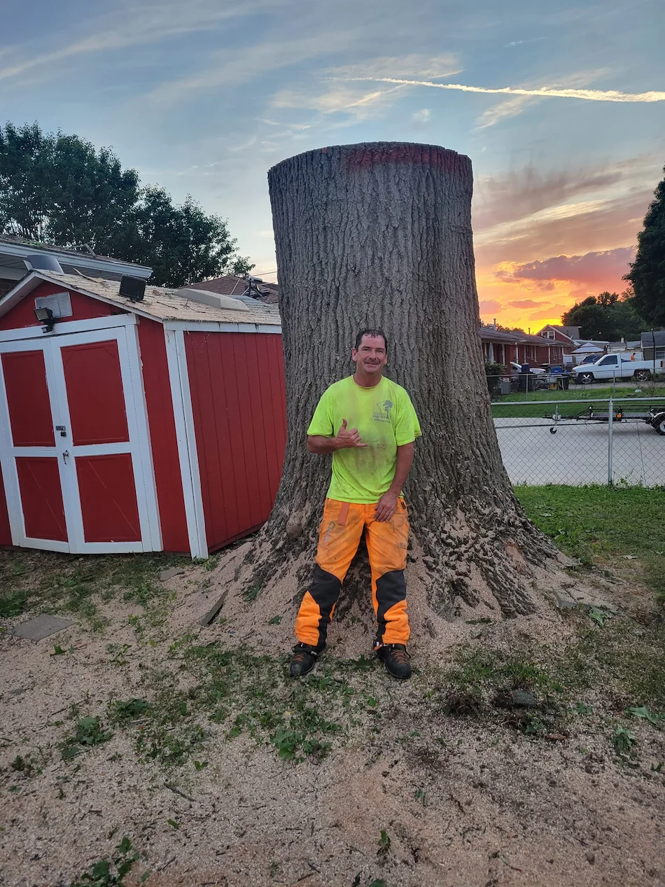 Expert Tree Care and Tree Service in Louisville KY - 999-Tree