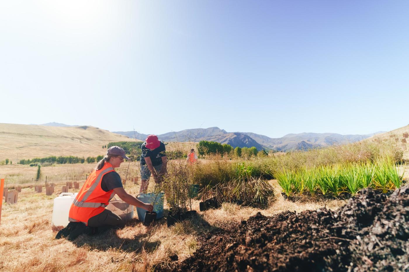 Sowing Seeds For Future Generations: Queenstown Comes Together For ...