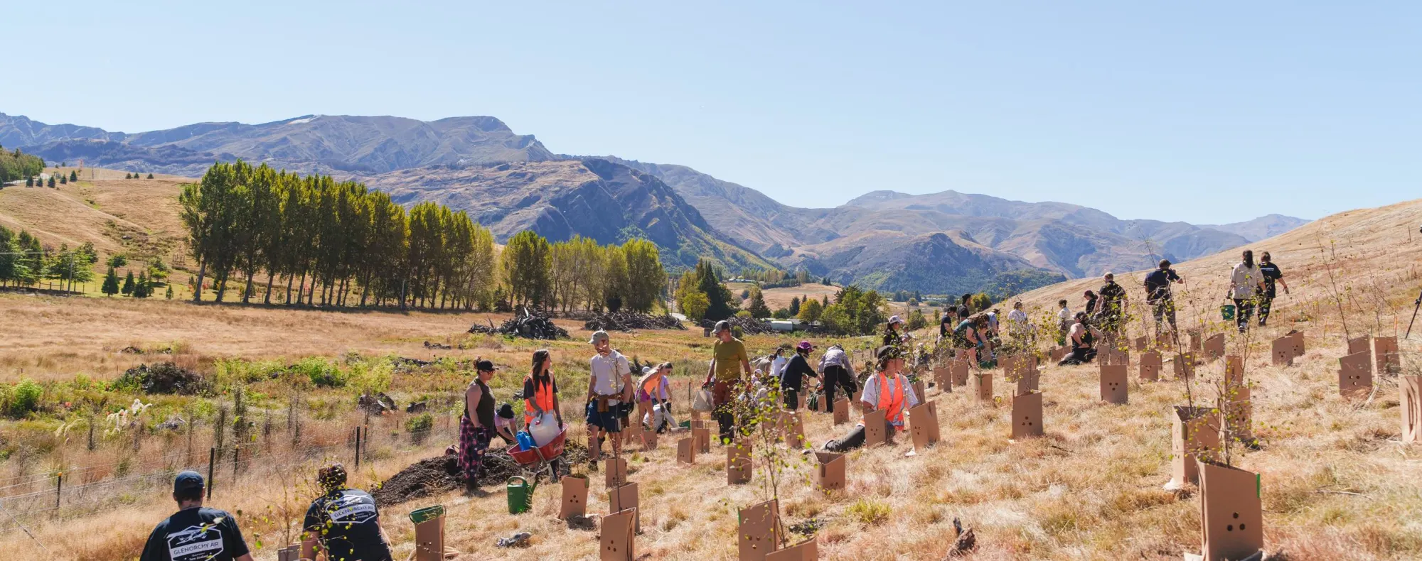 Sowing Seeds For Future Generations: Queenstown Comes Together For ...