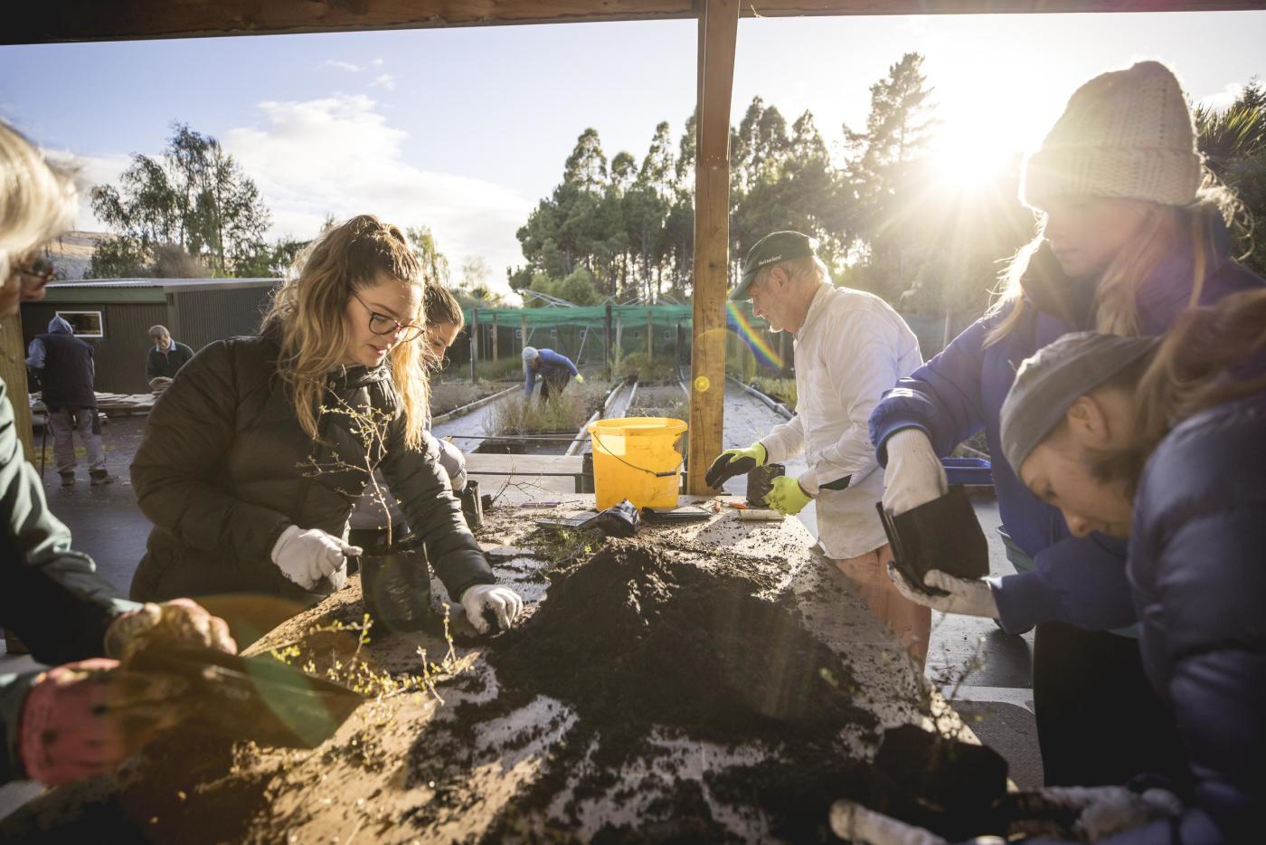 Whakatipu Reforestation Trust: Ten Years Of Community-Led Restoration