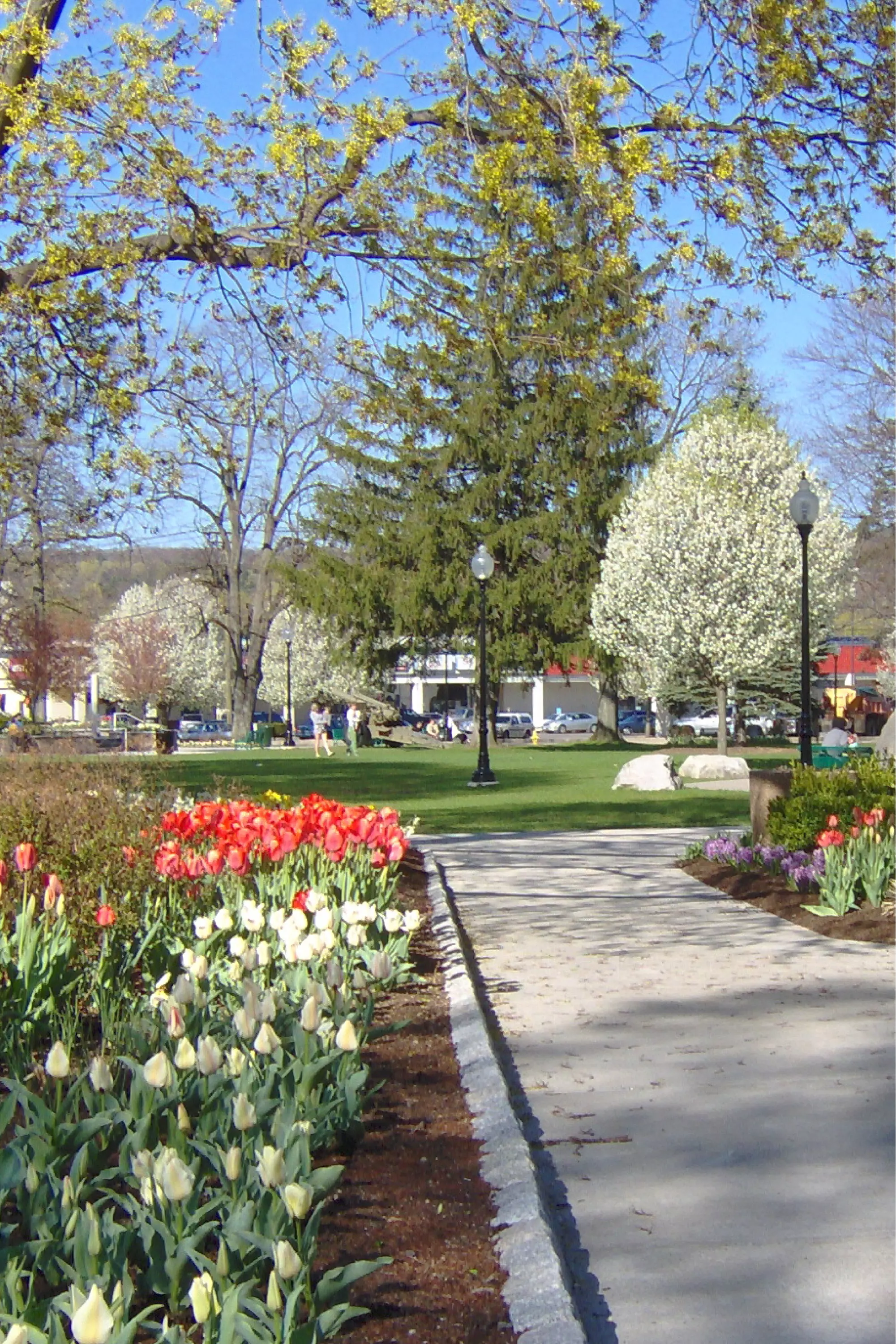 Mental Health Treatment In Torrington, CT