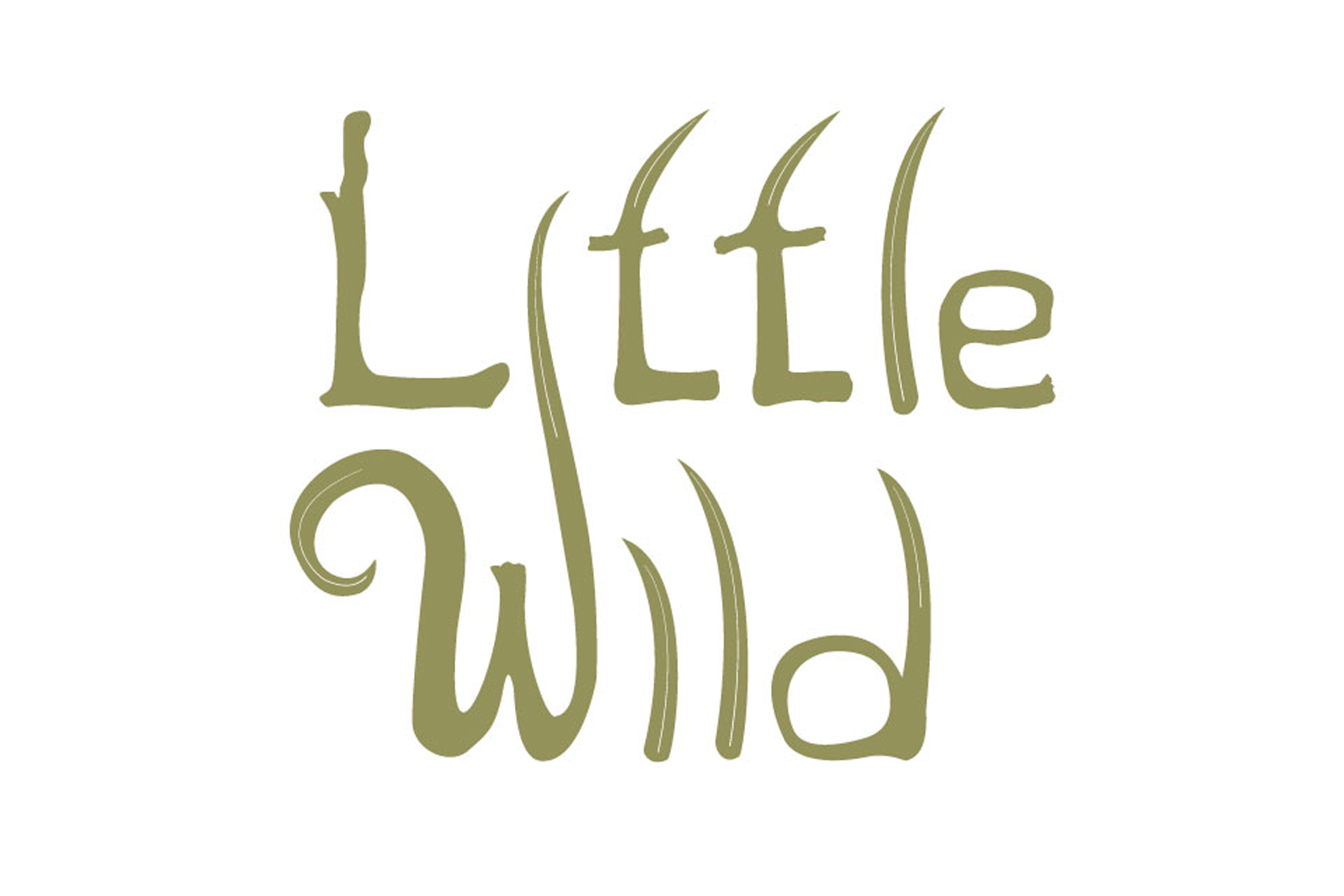 Little Wild | Naming and branding for a gardening firm that wanted to ...