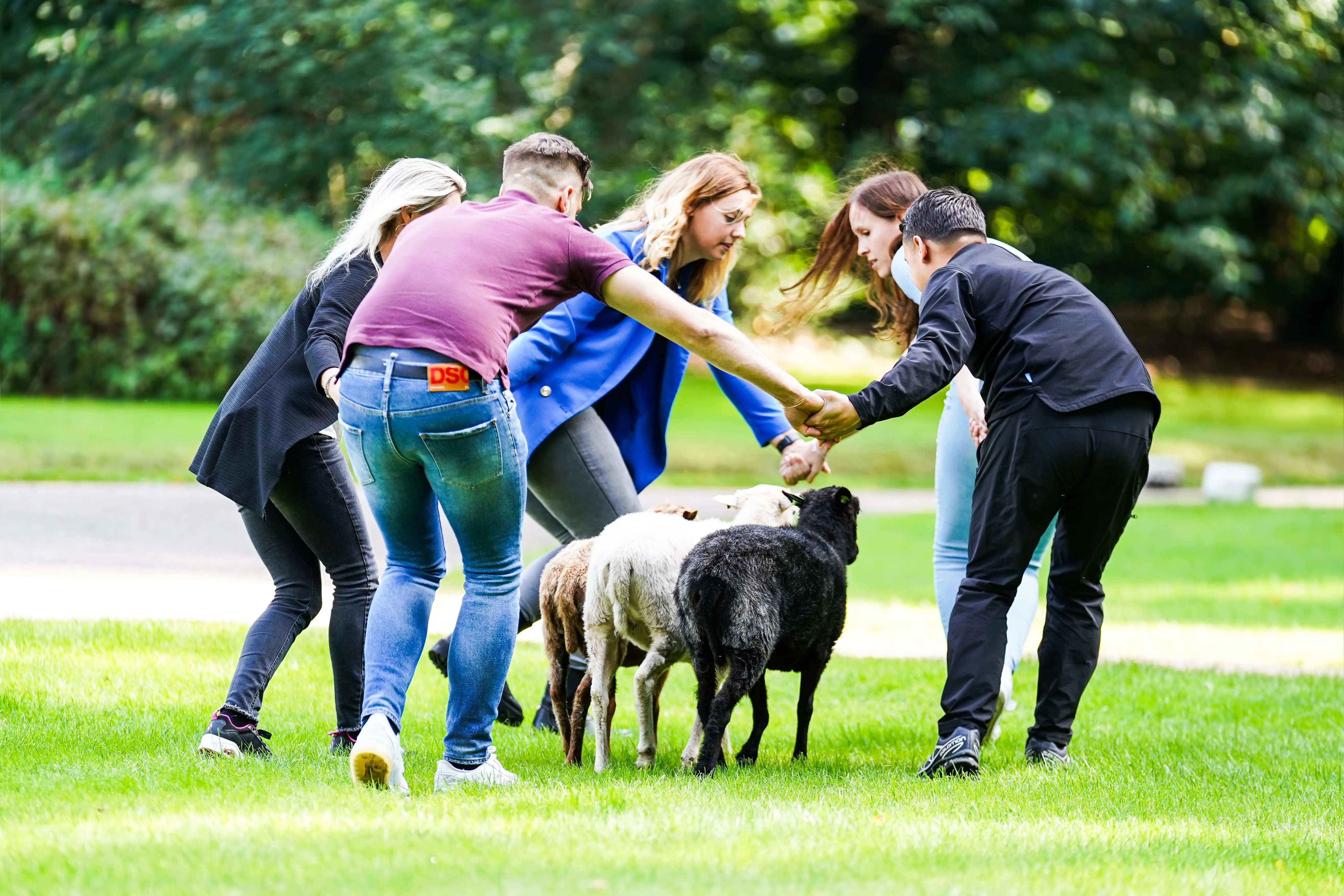 Team events met impact op de werkvloer. 10 inspirerende teamevents