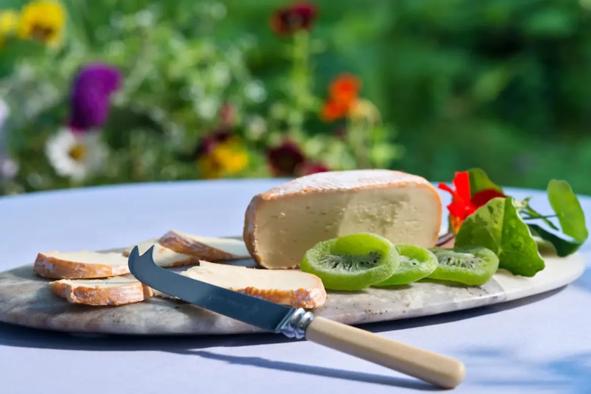 Discover Best Hotels in Orleans, MA: A Blend of Tradition & Comfort