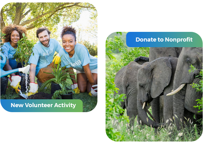 Bright Funds | Workplace Giving and Volunteering Software