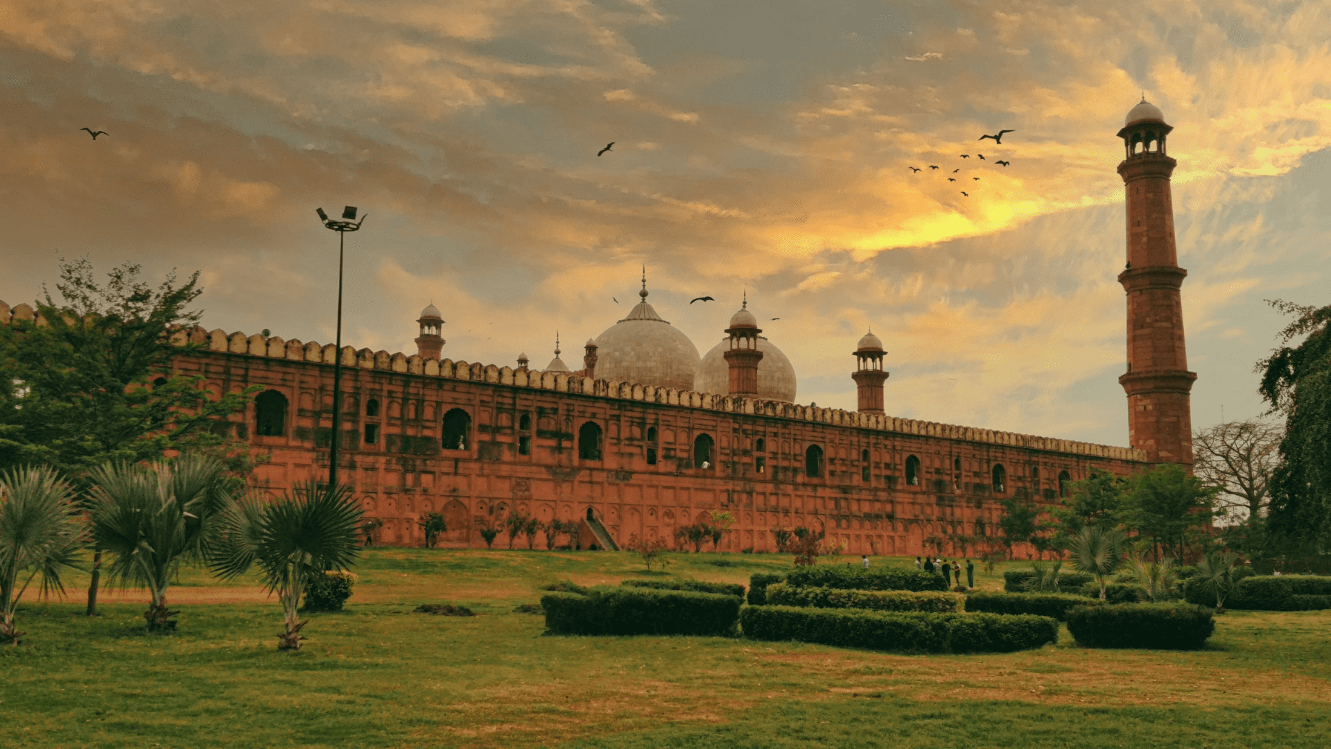 Neem receives NBFC license to strengthen Pakistan’s lending landscape ...