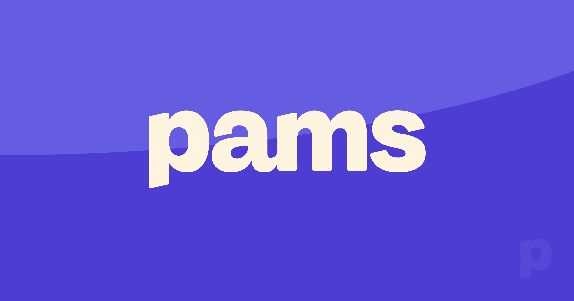 Pams | Vous allez adorer le private equity