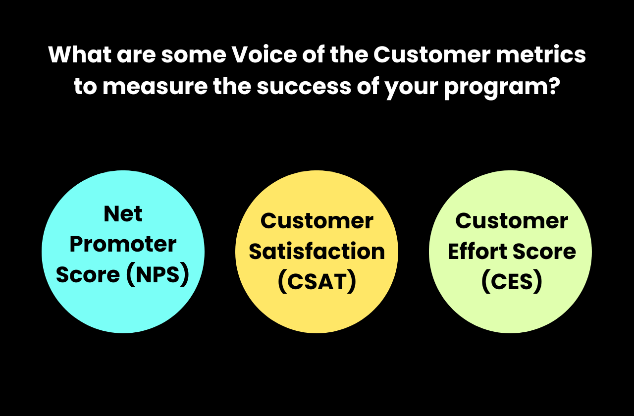 Voice of the Customer program: A comprehensive guide (2024)