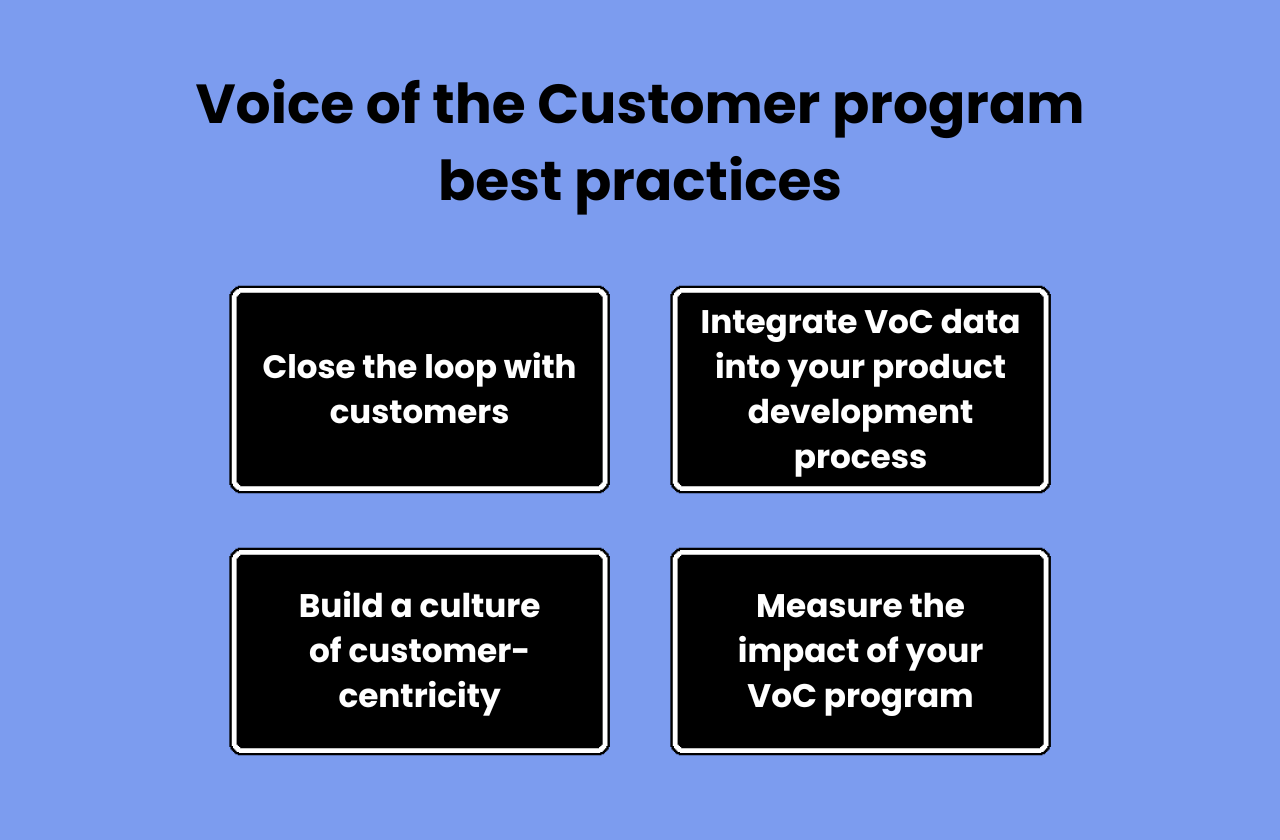 Voice of the Customer program: A comprehensive guide (2024)
