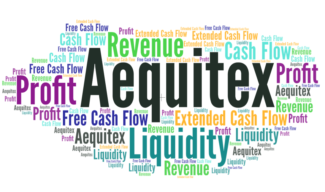Demystifying the terms liquidity, cash flow, revenue and profit