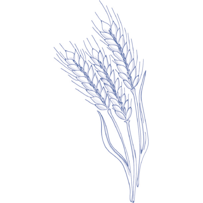 ISARIA PRO Active — the plant sensor for day and night.