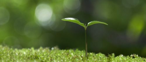 Baram Junior Cluster - DIALOG Group Berhad