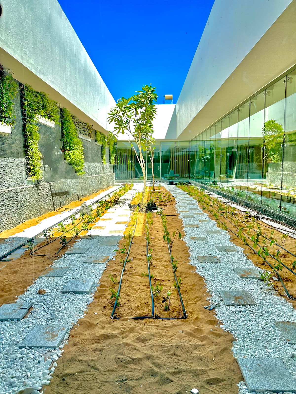 45 years OF HEALTHCARE EXCELLENCE | NEOM Hospital