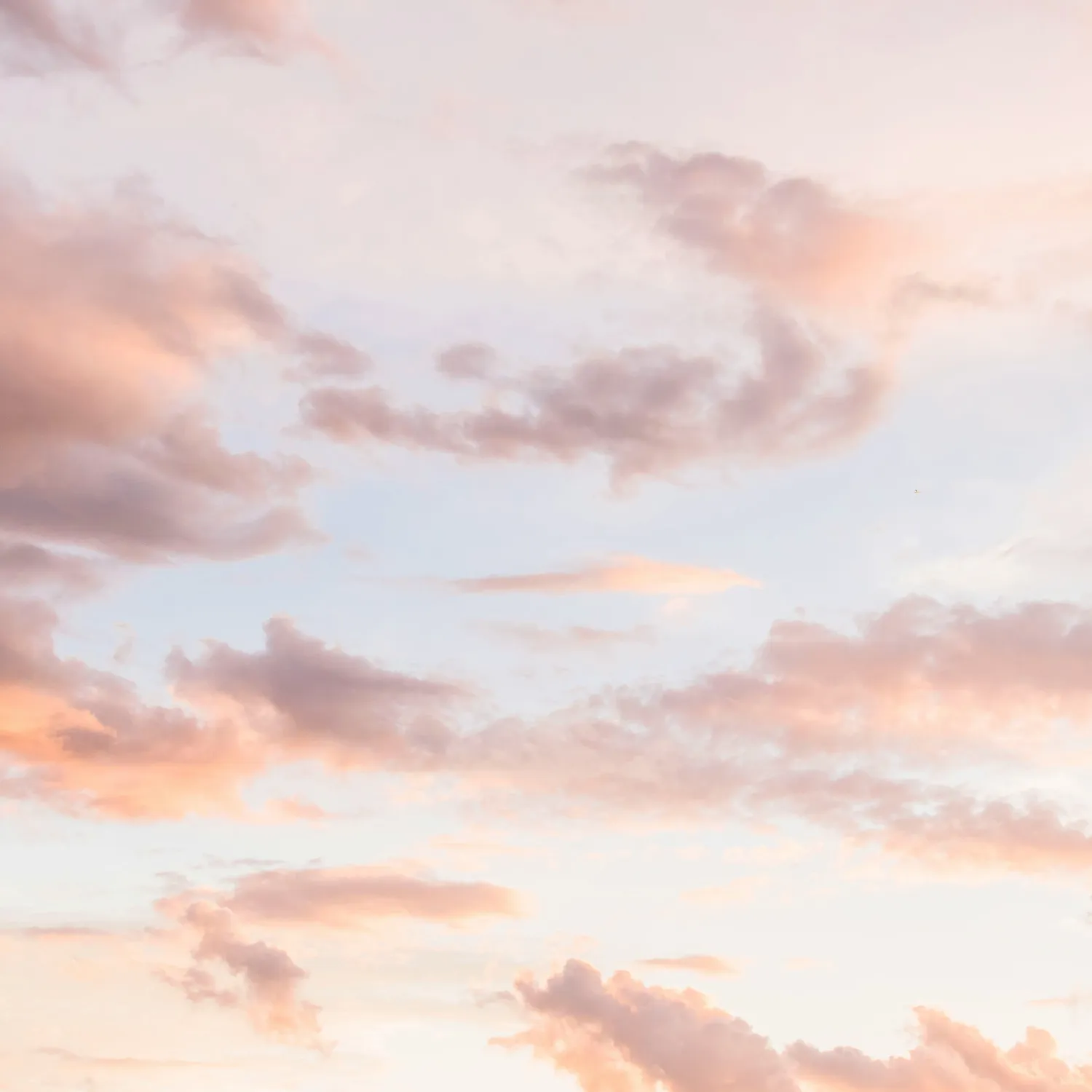 Michael Rabb x soundBrilliance™