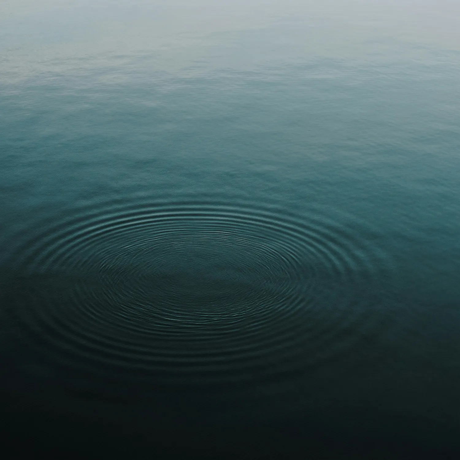 Michael Rabb x soundBrilliance™