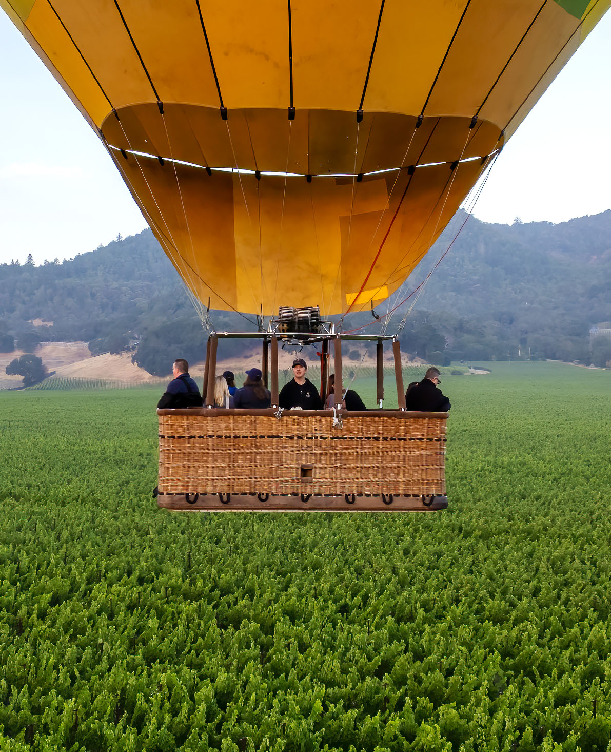 Napa Valley Balloons - Napa's Best Hot Air Balloons