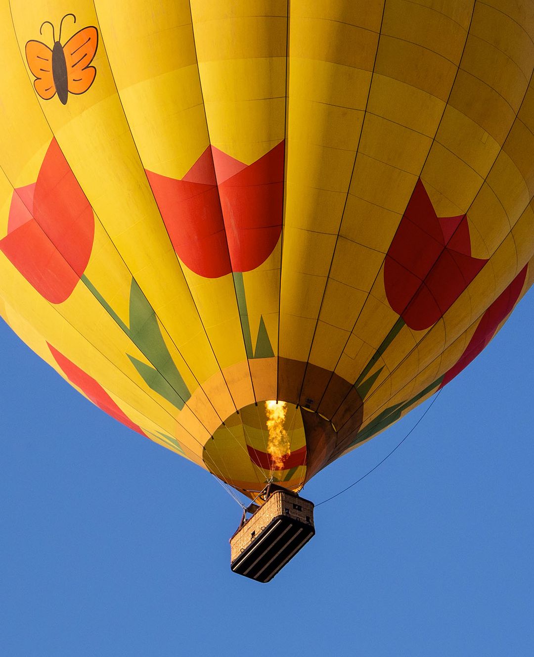 Napa Valley Balloons - Napa's Best Hot Air Balloons