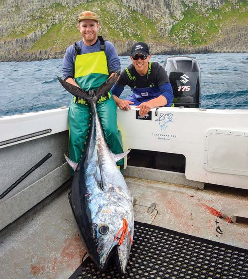Southern Bluefin Tuna - Species Guide