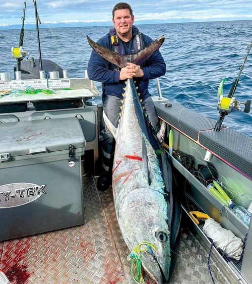 Southern Bluefin Tuna - Species Guide