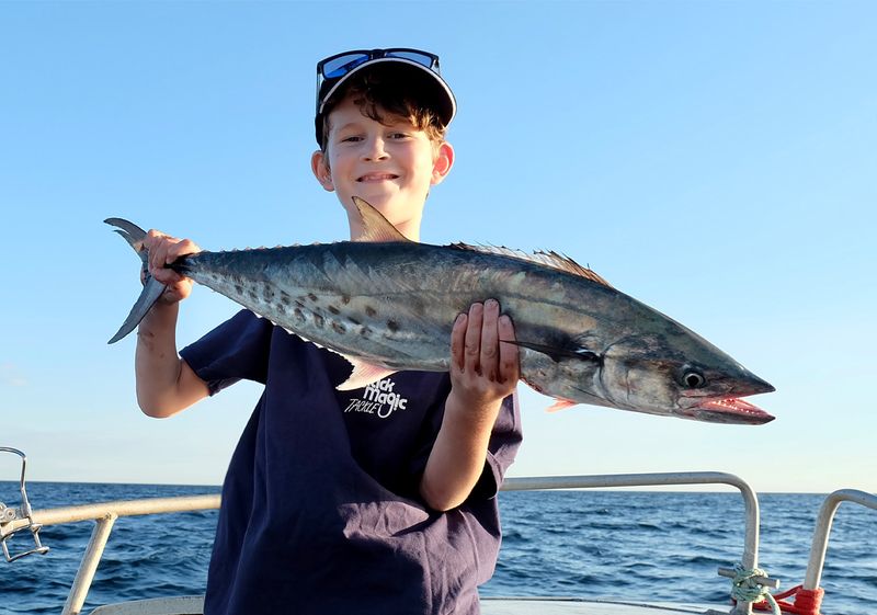 Spanish Mackerel - Species Guide