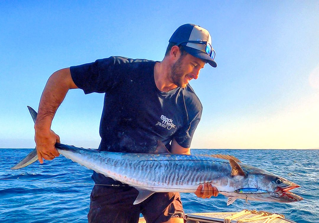 Spanish Mackerel - Species Guide