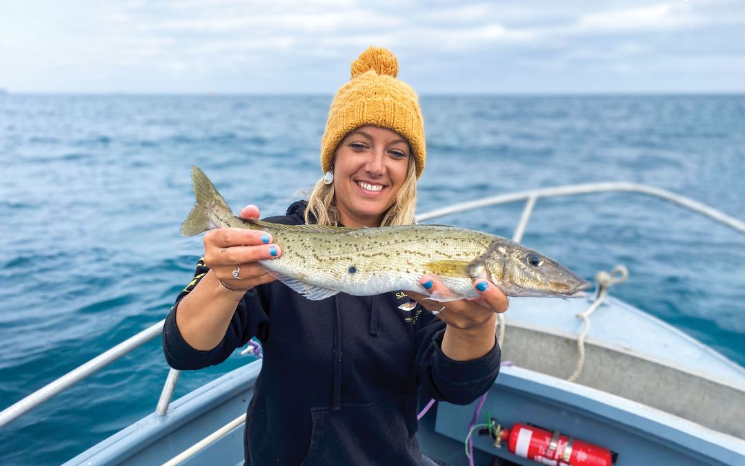 Whiting - Species Guide