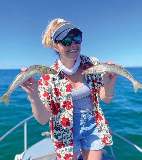 Whiting - Species Guide